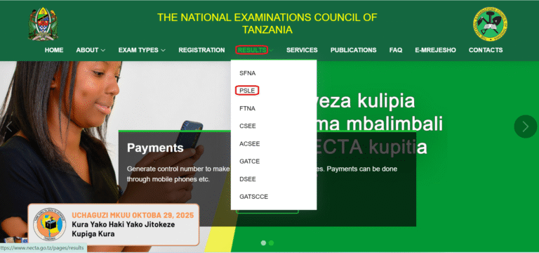 NECTA Standard Seven PLSE Results 2025