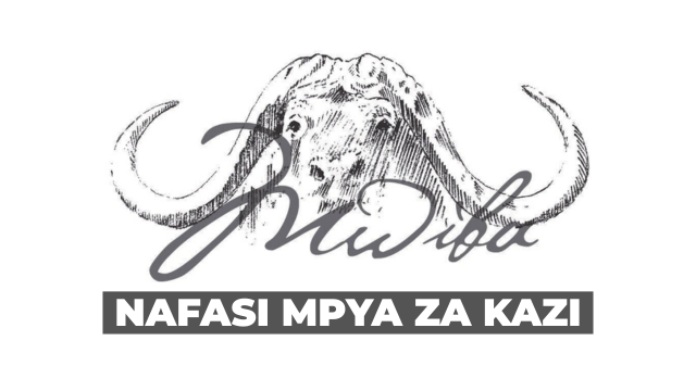 Junior Graphic Designer at Mwiba Holdings Limited 2026